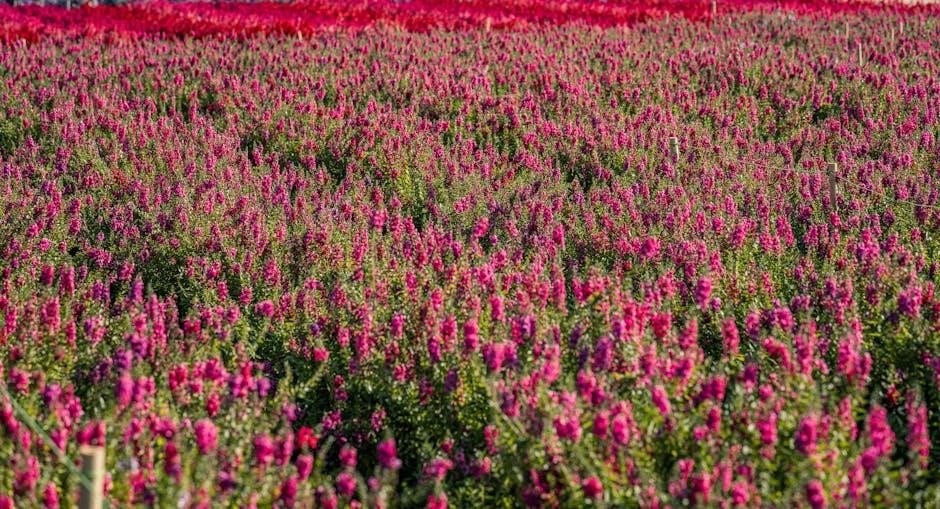 Free Wallet Pattern PDF Download | Sewing Tutorial